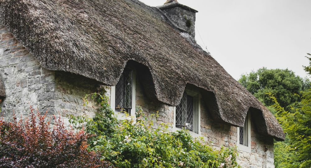 Thatched Roof Insurance | Adrian Flux