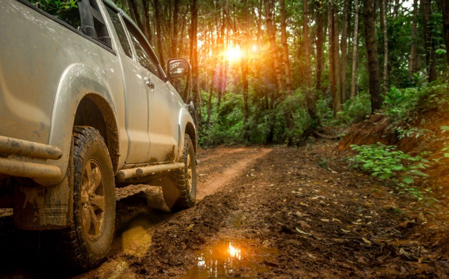 AWD vs 4WD: four wheel driving systems explained - Fluxposure