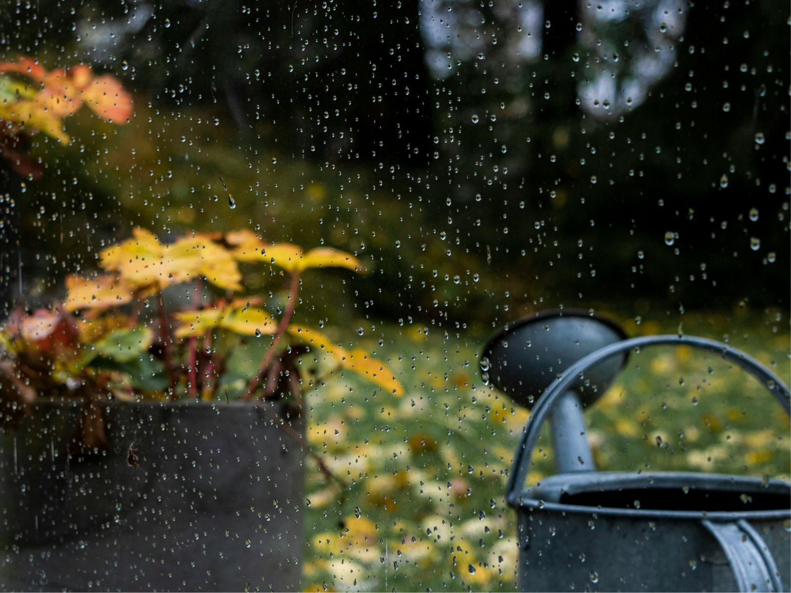 What to consider when buying a home in a flood risk area | Adrian Flux