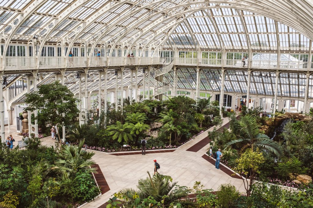 Creating a room with a view — the iconic Victorian glasshouse ...